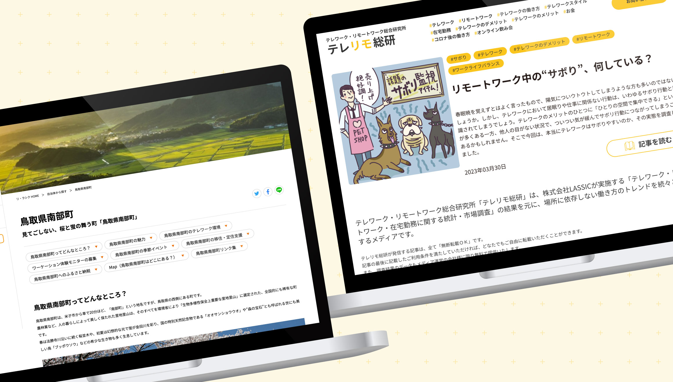 メディア運営 | 株式会社LASSIC（ラシック）